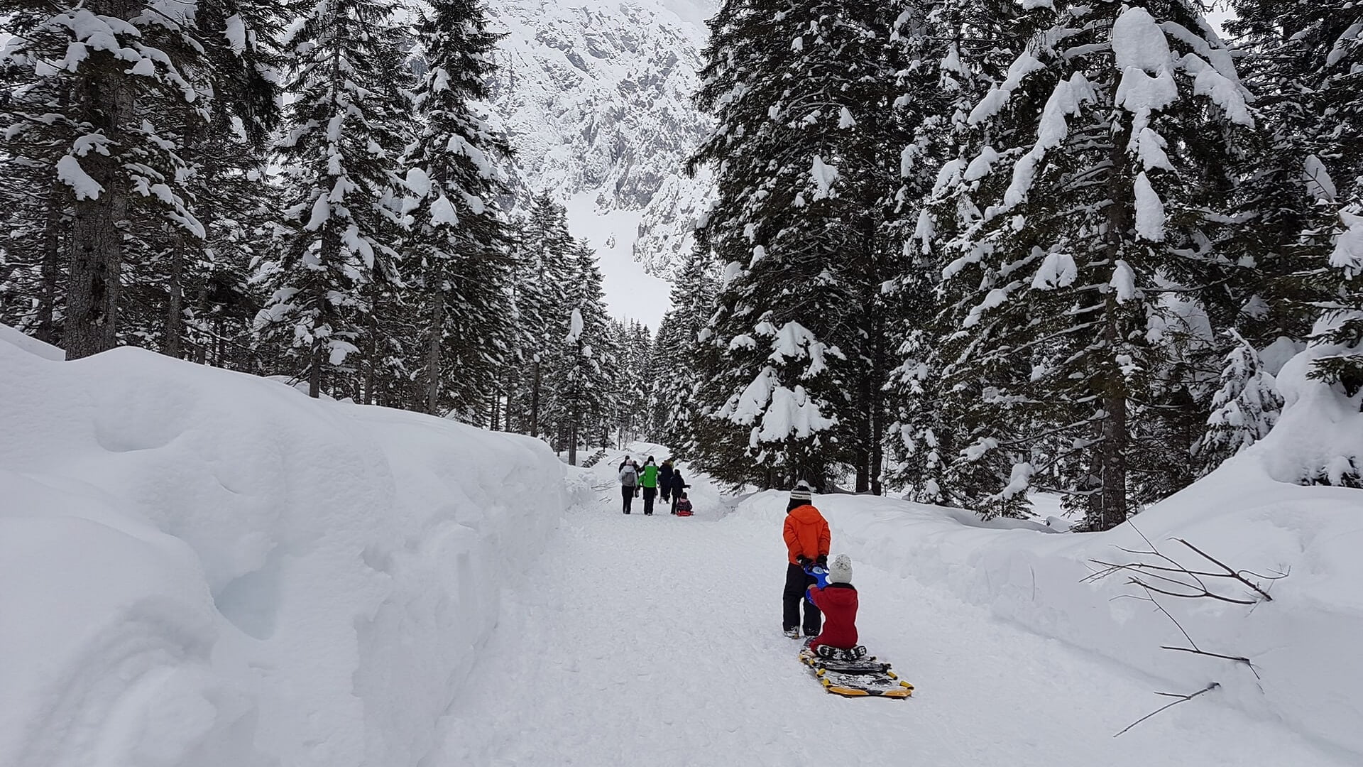 Sledding in Europe - The Best Places to Visit - Kanoo Travel